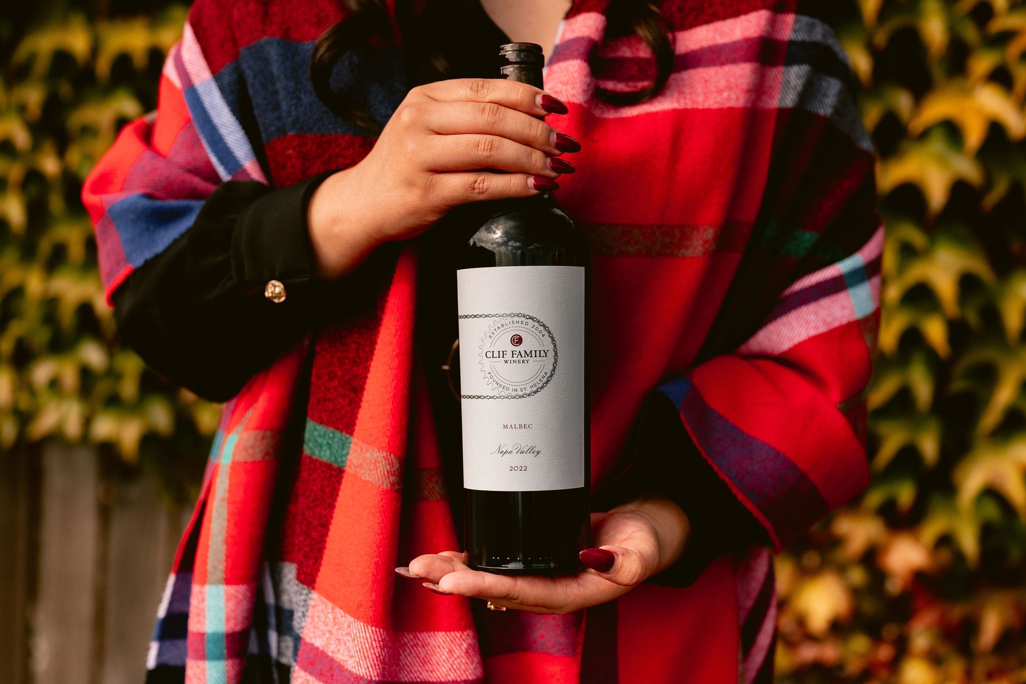 Top 5 Cheese & Charcuterie Accoutrements – Clif Family Winery